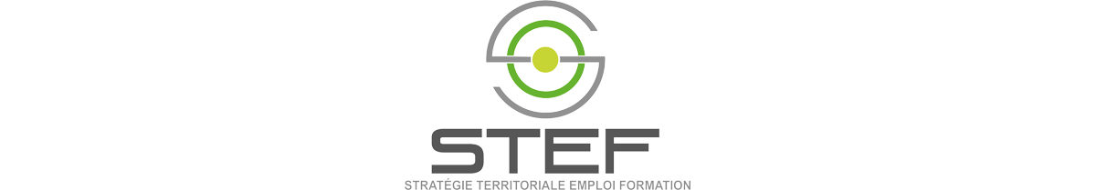 Nouveau logo pour STEF ! - Elo - Emplois Loire Observatoire